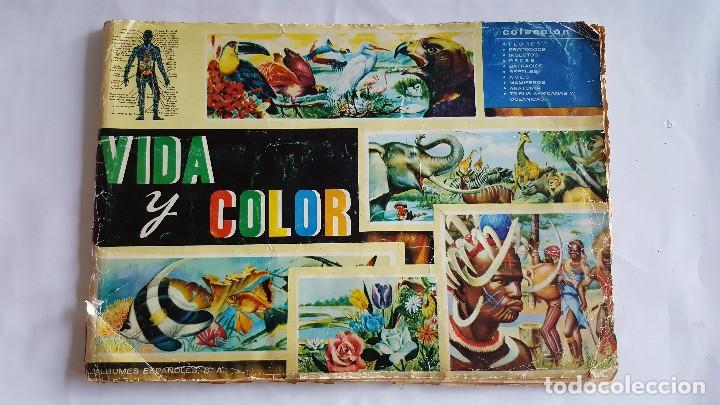 album completo de cromos vida y color - animale - Compra venta en ...