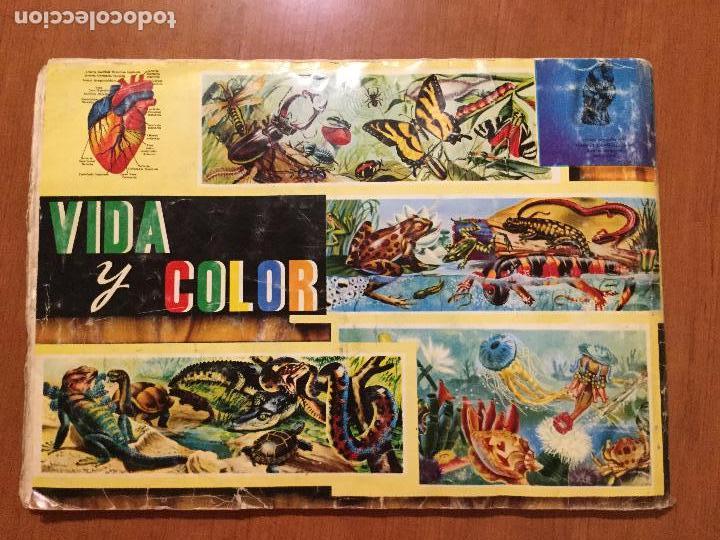 album completo vida y color año 1965. - Comprar Álbumes antiguos ...