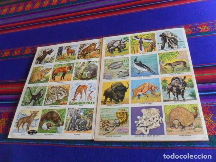 un libro de oro de estampas nºs 18 animales del - Comprar Álbumes ...