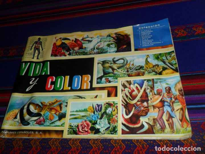 vida y color 1 completo 380 cromos. álbumes esp - Comprar Álbumes ...