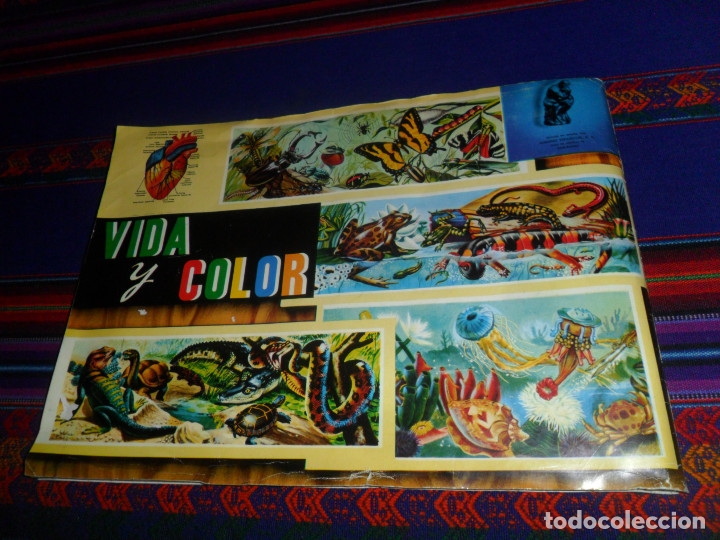 vida y color 1 completo 380 cromos. álbumes esp - Comprar Álbumes ...
