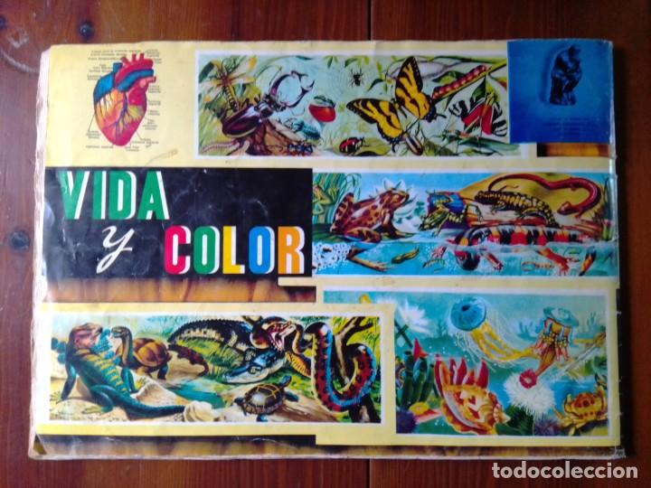 vida y color completo 1965 primera edición - Comprar Álbumes antiguos ...