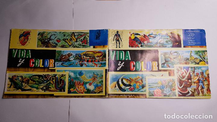 vida y color - álbum completo - albumes español - Comprar Álbumes ...