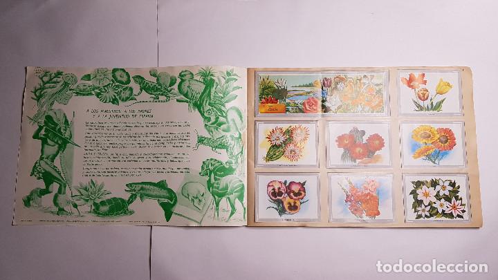 vida y color - álbum completo - albumes español - Comprar Álbumes ...