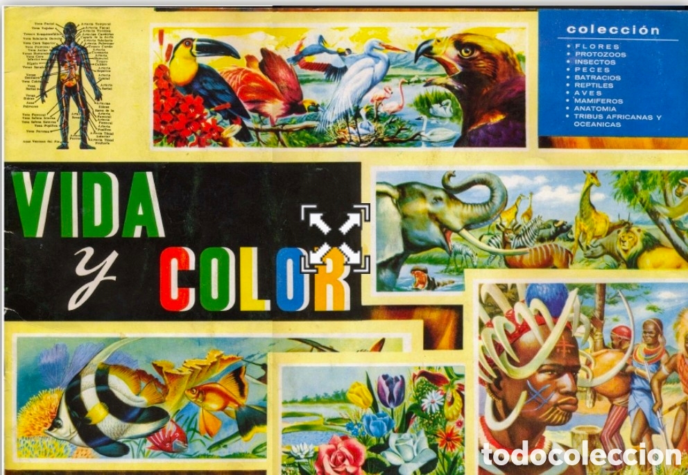 álbum de cromos vida y color completo - Compra venta en todocoleccion