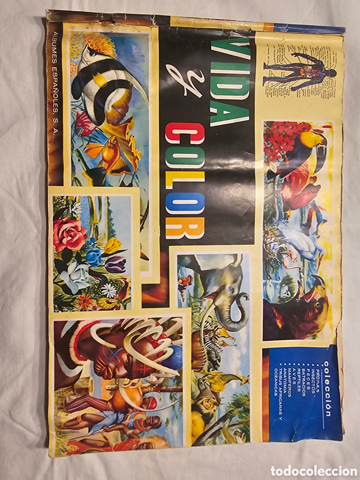 álbum vida y color / completo 380 cromos / álbu - Compra venta en ...
