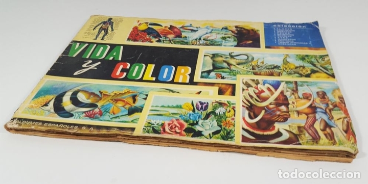 álbum de cromos. vida y color. edit álbumes esp - Comprar Álbumes ...