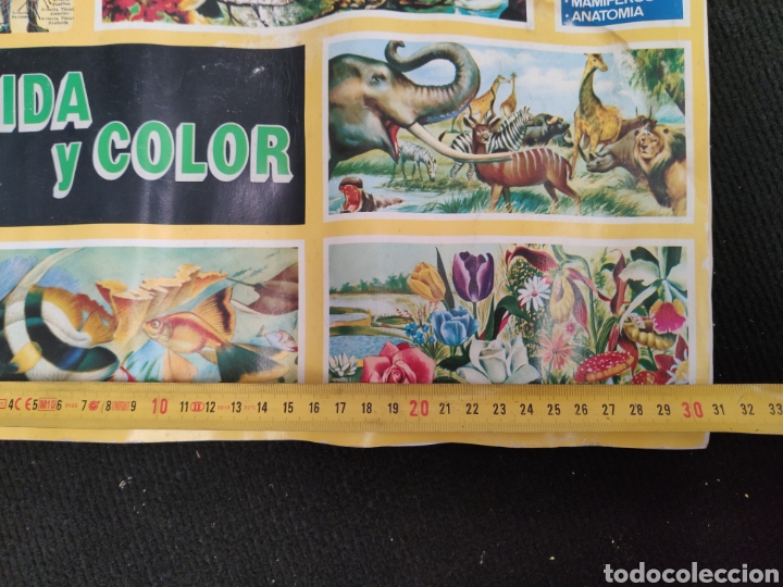 álbum de cromos vida y color - Comprar Álbumes antiguos incompletos en ...