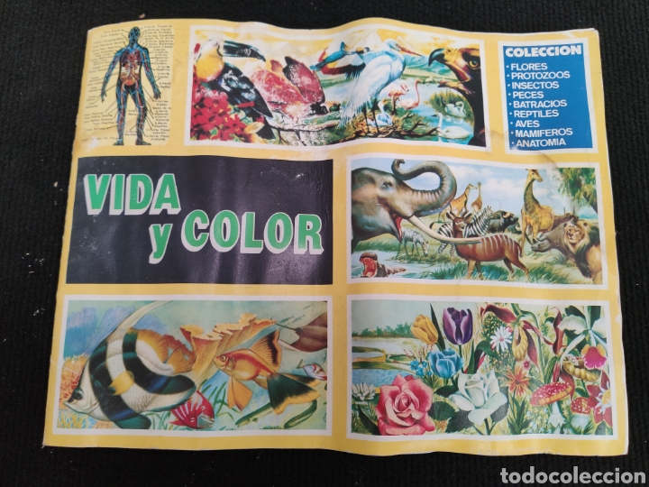 álbum de cromos vida y color - Comprar Álbumes antiguos incompletos en ...