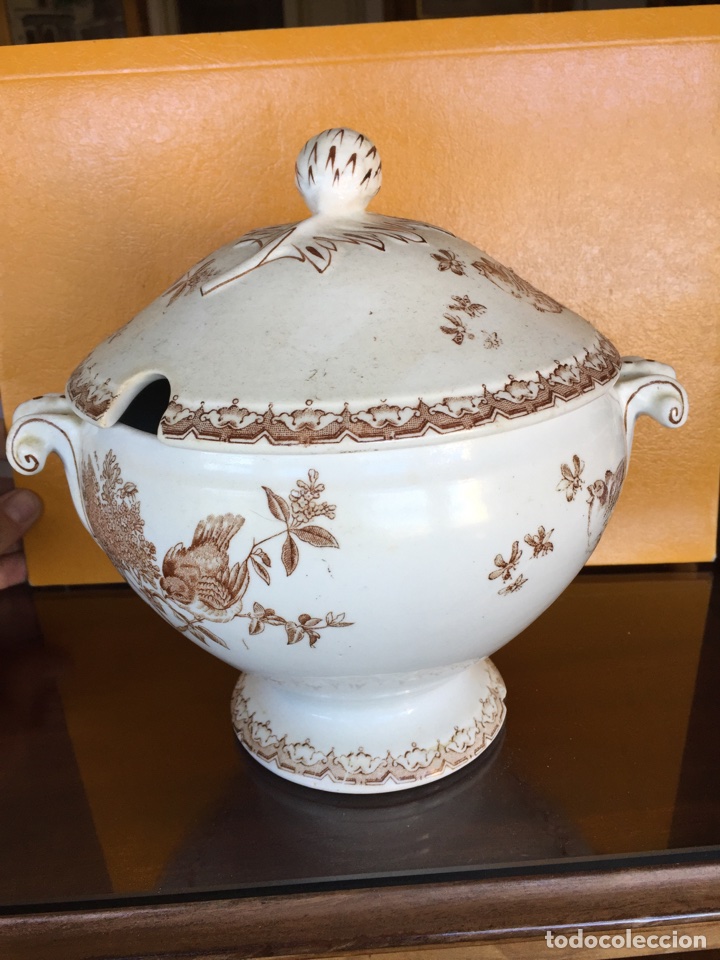 sopera de porcelana - Comprar Otras porcelanas y cerámicas antiguas en ...