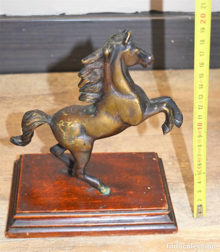 escultura caballo de bronce con base madera - f - Comprar Figuras ...