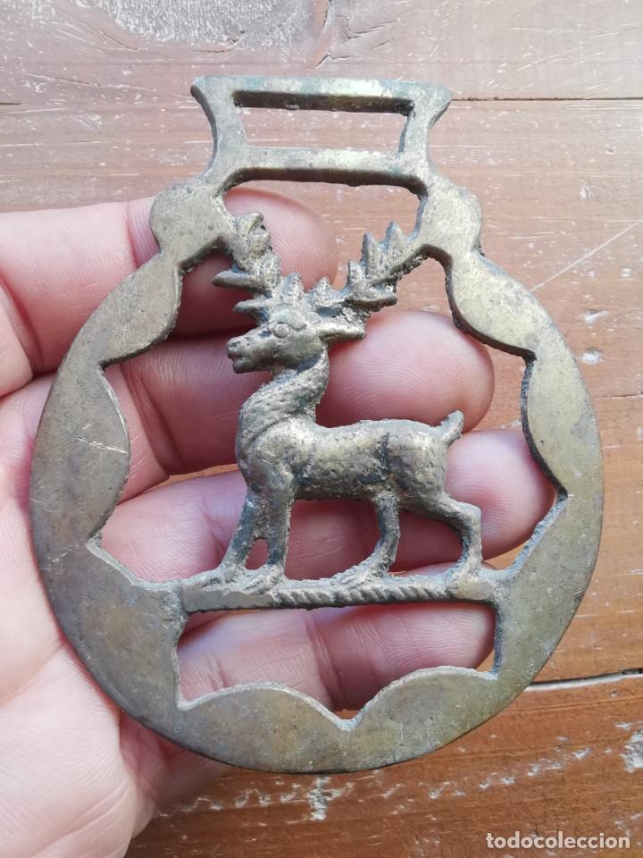 antiguo jaez de correajes de caballo en bronce- - Comprar Caballería ...
