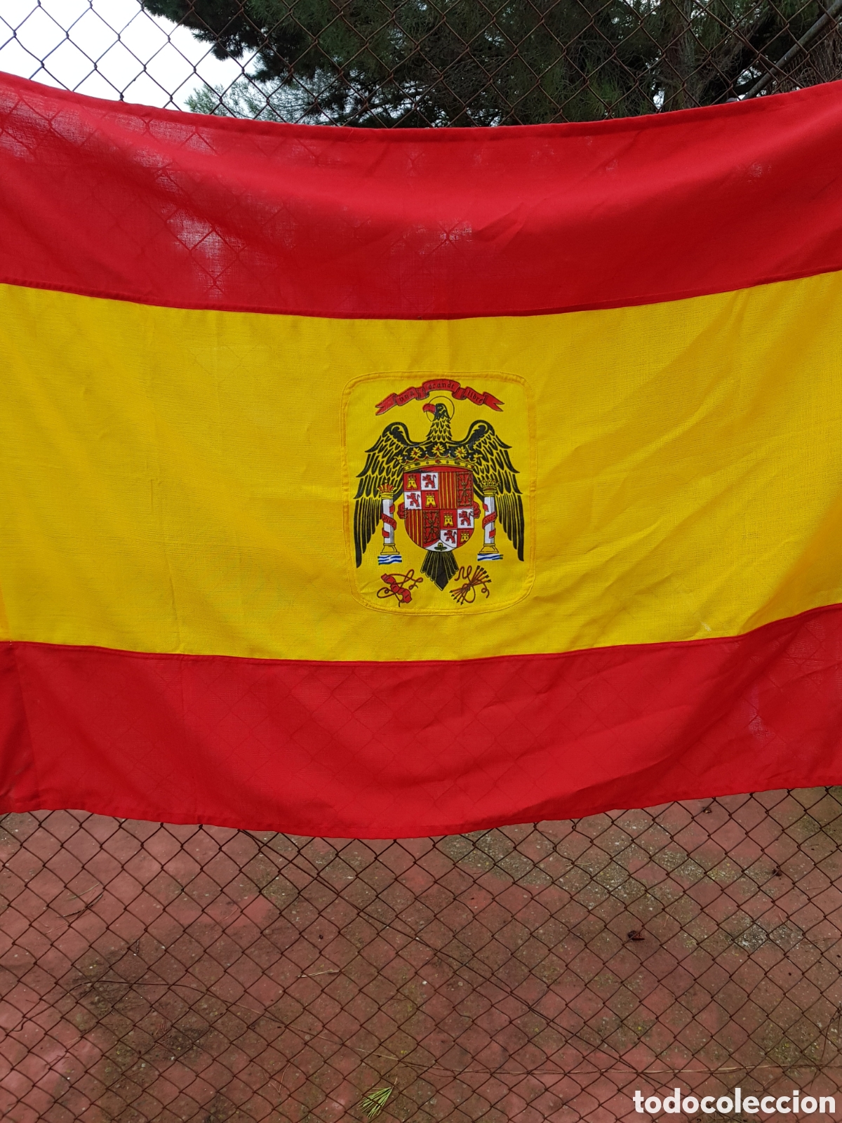 Banderas Del Mundo Con águilas