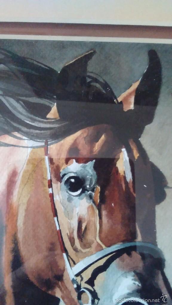 acuarela de la cabeza de un caballo con firma o - Comprar Acuarelas ...