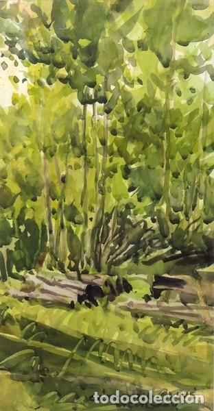 ceferino olivé. acuarela 50x25. paisaje. - Comprar Acuarelas ...