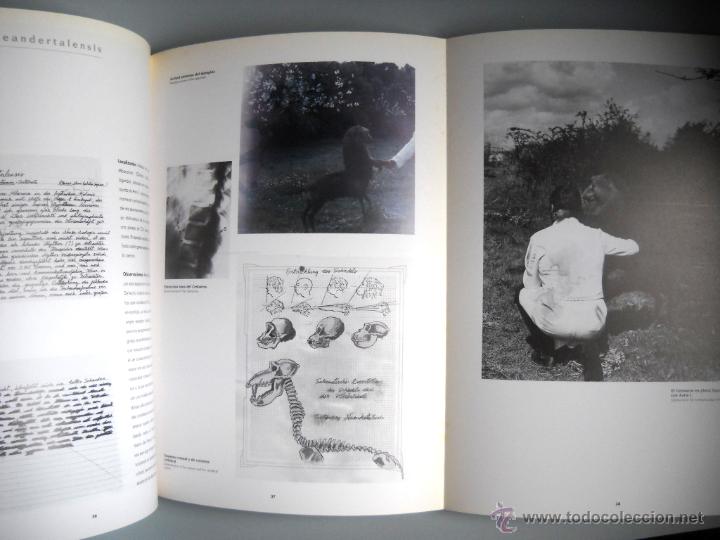 fauna secreta - joan fontcuberta / pere formigu - Comprar Catálogos de ...