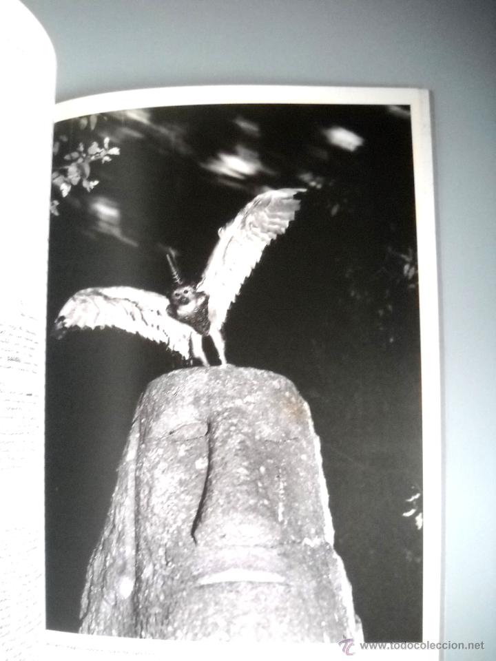 fauna secreta - joan fontcuberta / pere formigu - Comprar Catálogos de ...