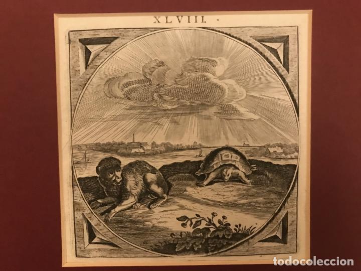 emblema barroco: el mono y la tortuga, 1720. ja - Comprar Grabados ...