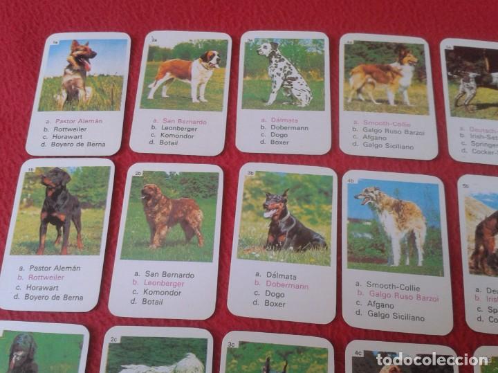 antigua baraja de cartas naipes cards tamaño mi - Comprar Barajas ...