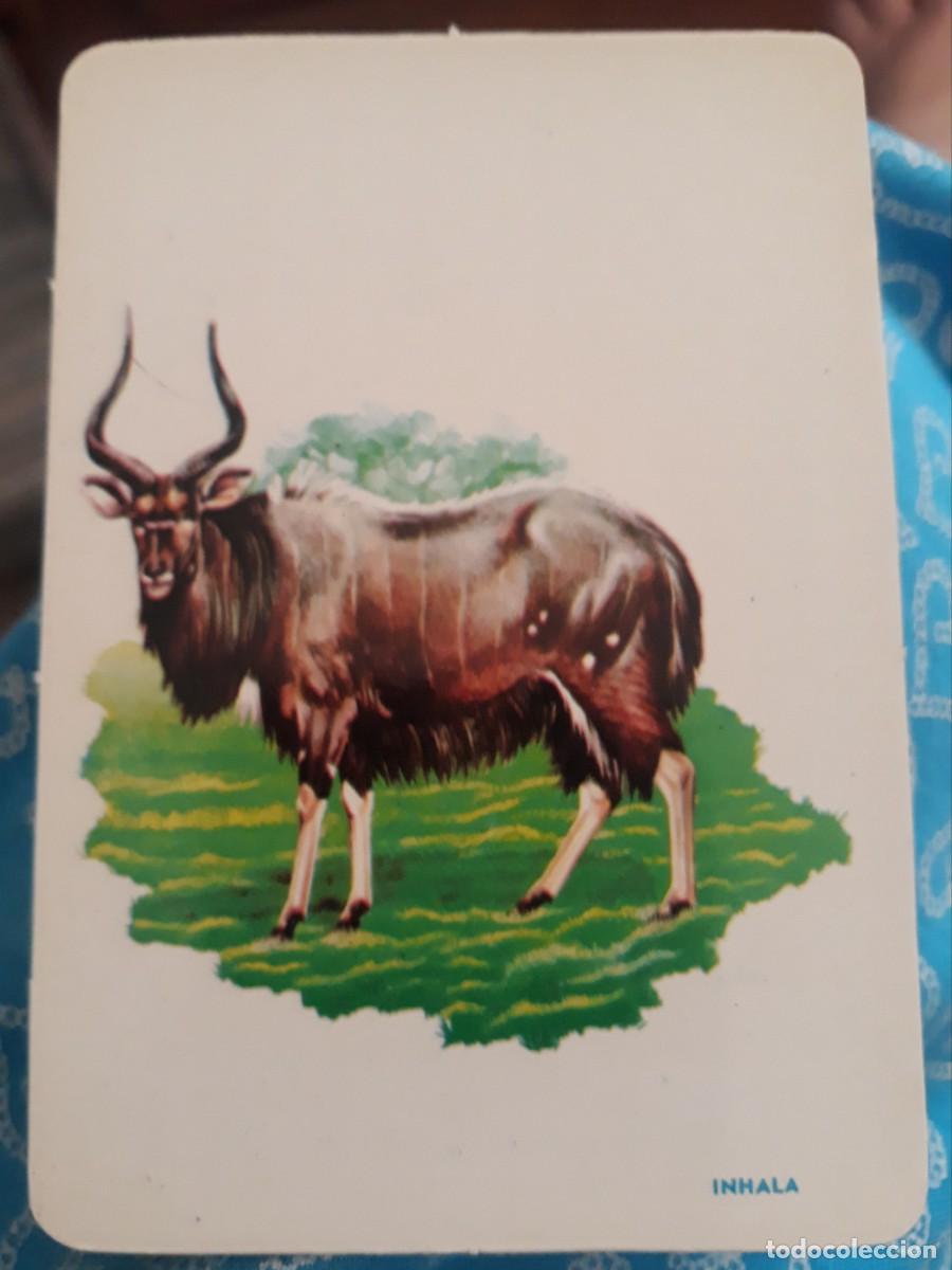 -81749 calendario dibujo impala, año 1989, con - Compra venta en ...