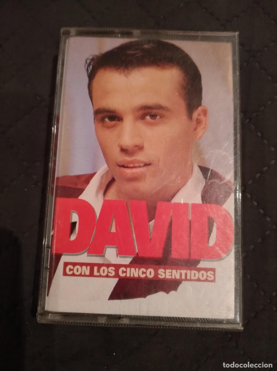 david-con los cinco sentidos- - Compra venta en todocoleccion