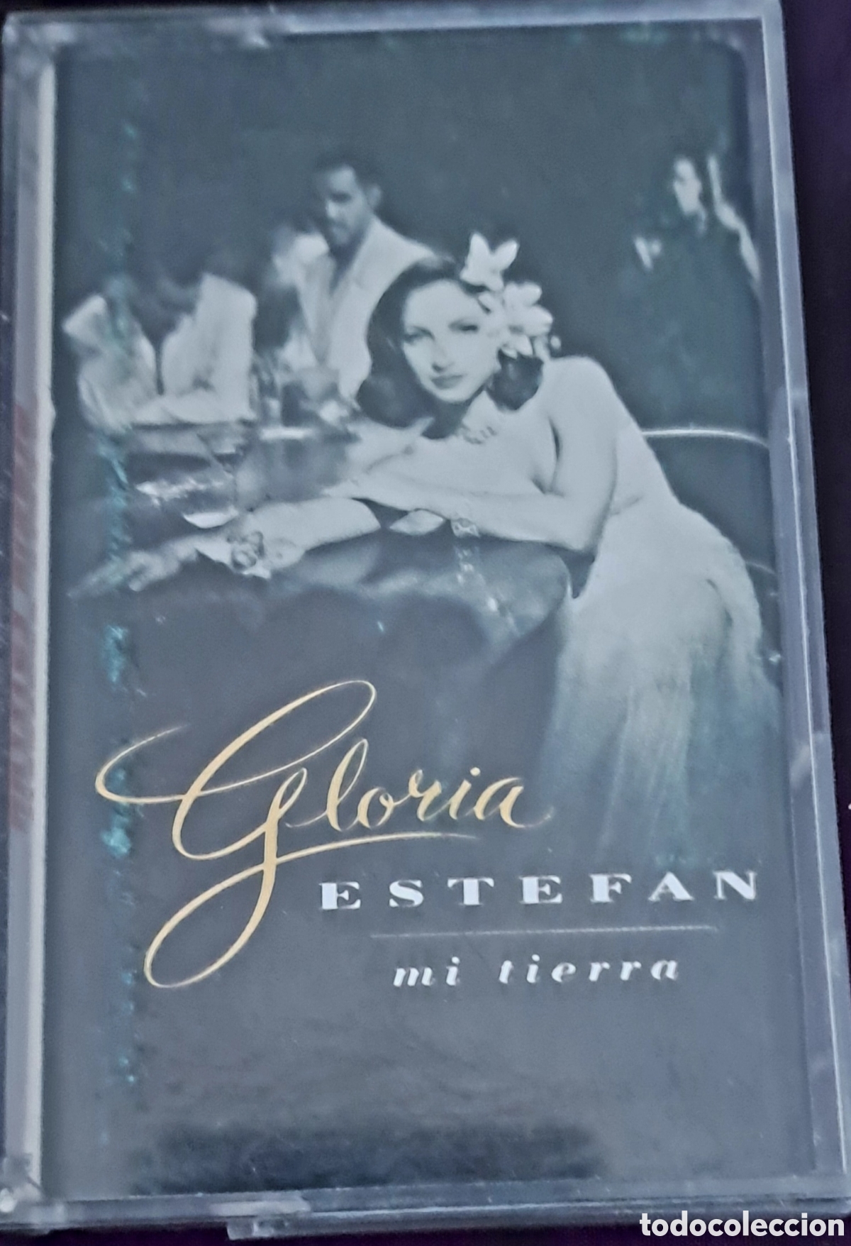 Gloria Estefan Mi Tierra Gloria Estefan Mi Tierra Album