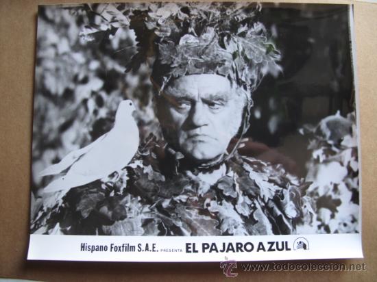 el pajaro azul fotos de la pelicula - Buy Photos, photochromes and ...