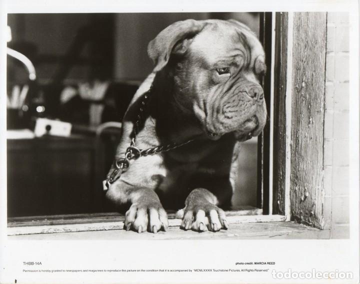 original photograph by marcia reed beasley the - Buy Photos and ...