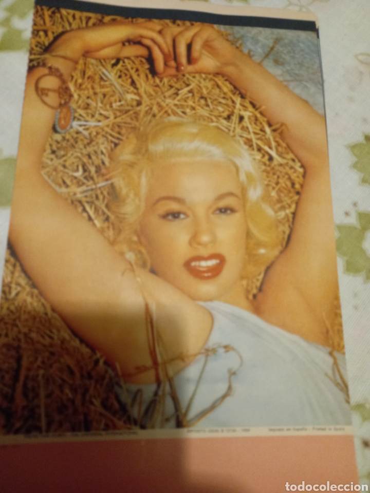 maria van doren 1959 foto calendario 18 x 32 or - Buy Photos and ...