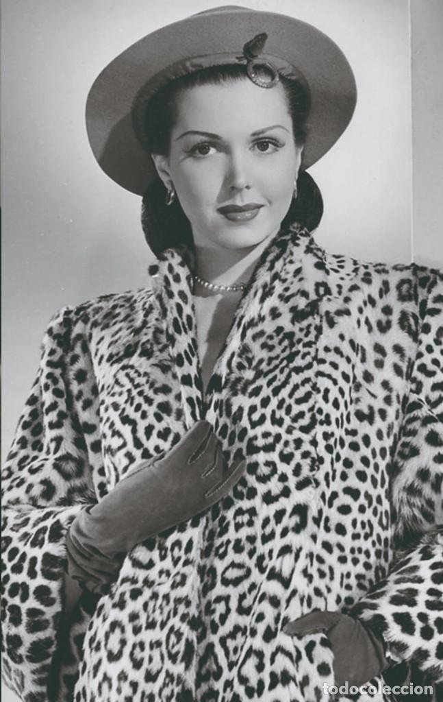 ann miller photo postcard - Buy Photos and postcards of actors and ...