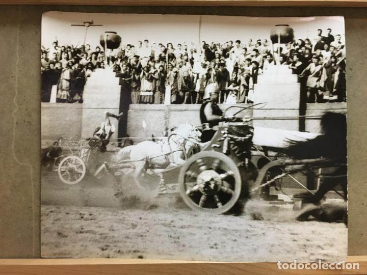 Joe Canutt