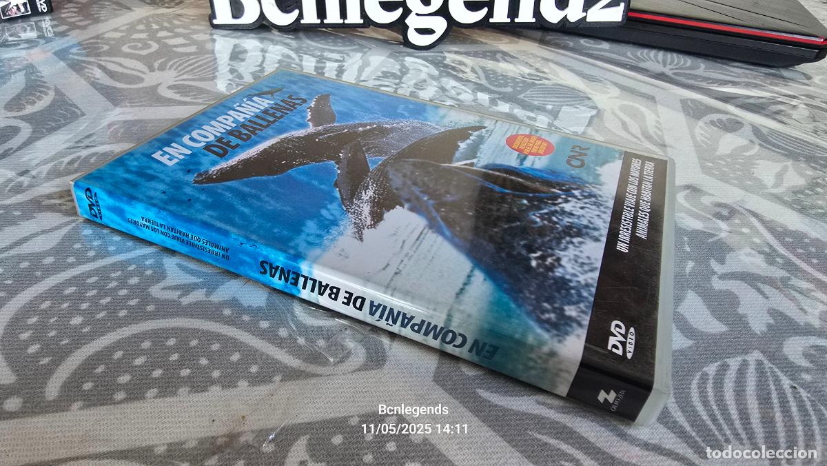 en compañia de ballenas dvd documental l7 - Compra venta en todocoleccion