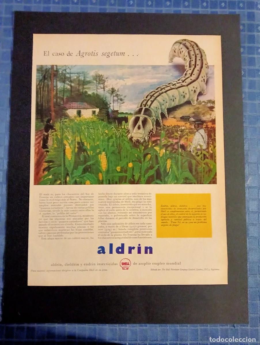 shell - aldrin insecticidas - life 1956 origina - Compra venta en ...