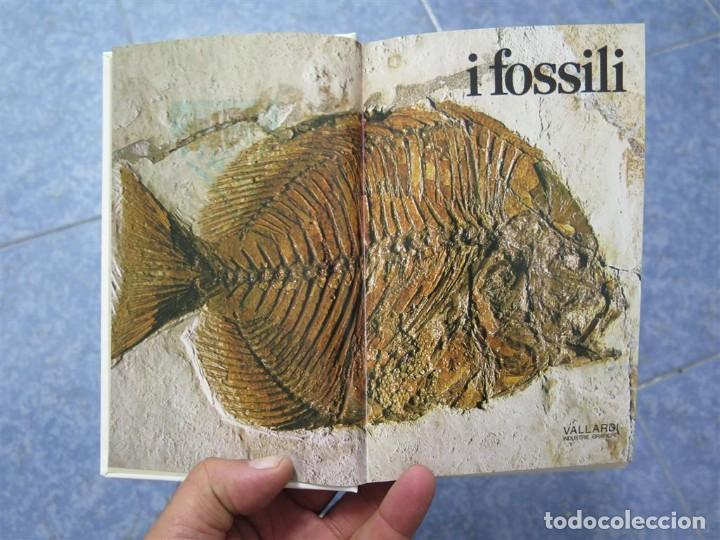 fósiles,guía de fósiles-fossili – le guide ilus - Comprar Fósiles en ...