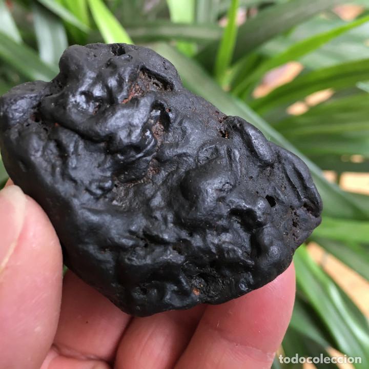 gran tectita, meteorito, color negro, 103 gramo - Comprar en ...