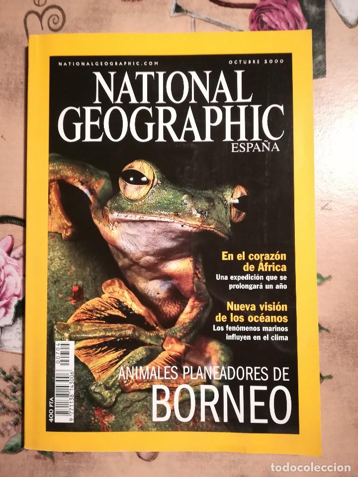 Animales Planeadores Pegatinas De Planeadores De Cabeza | Diseños