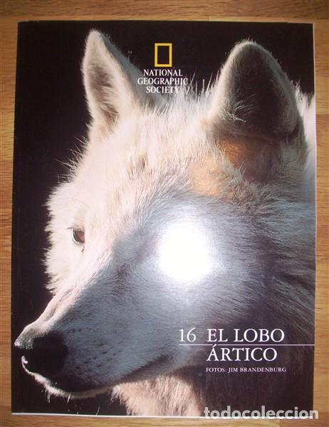 el reino animal. 16 : el lobo ártico. los mejor - Comprar Otras ...