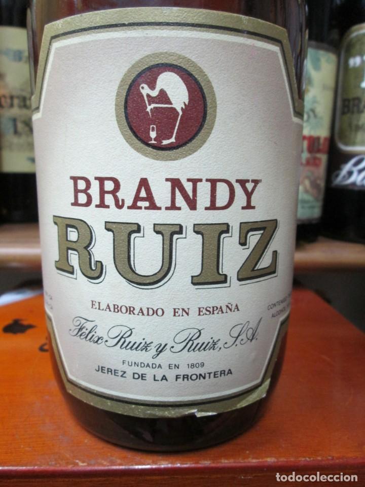 Brandy Ruiz's Instagram, Twitter & Facebook on IDCrawl