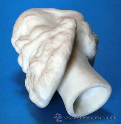 pareja de pequeños bustos de resina. filósofos. - Comprar en ...