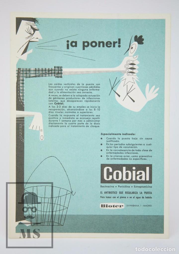 hoja / tarjetón publicitario - cobial / cobial - Compra venta en ...
