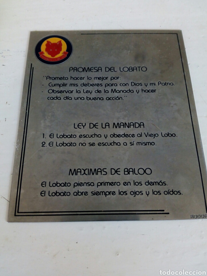Hojas De Trabajo De Los Lobatos Mowgli. Orientaciones Docentes