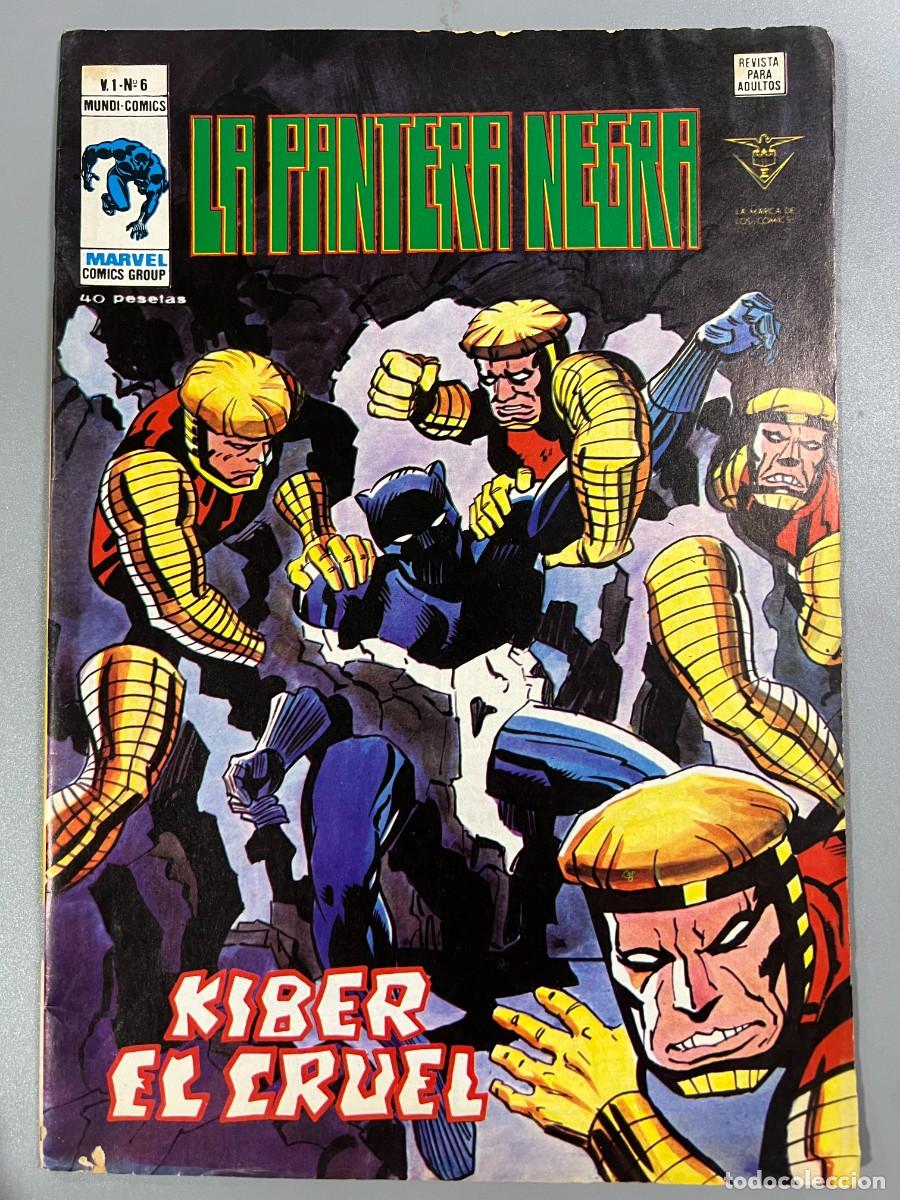 Cómics De La Pantera Negra Pantera Negra Comic Cuadro Decorativo,