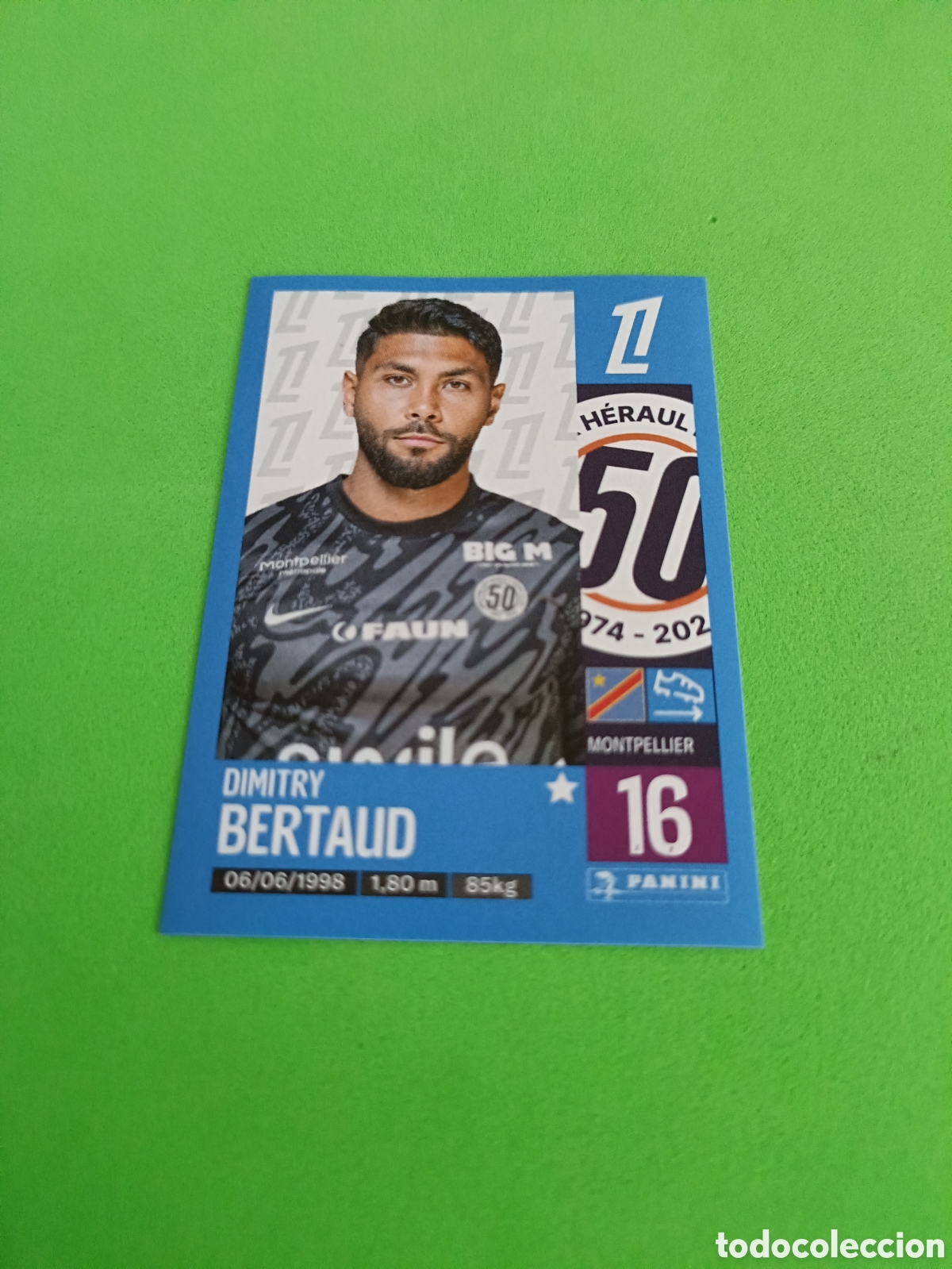 panini foot ligue 1 france stickers 2024 2025 2 - Buy Collectible ...