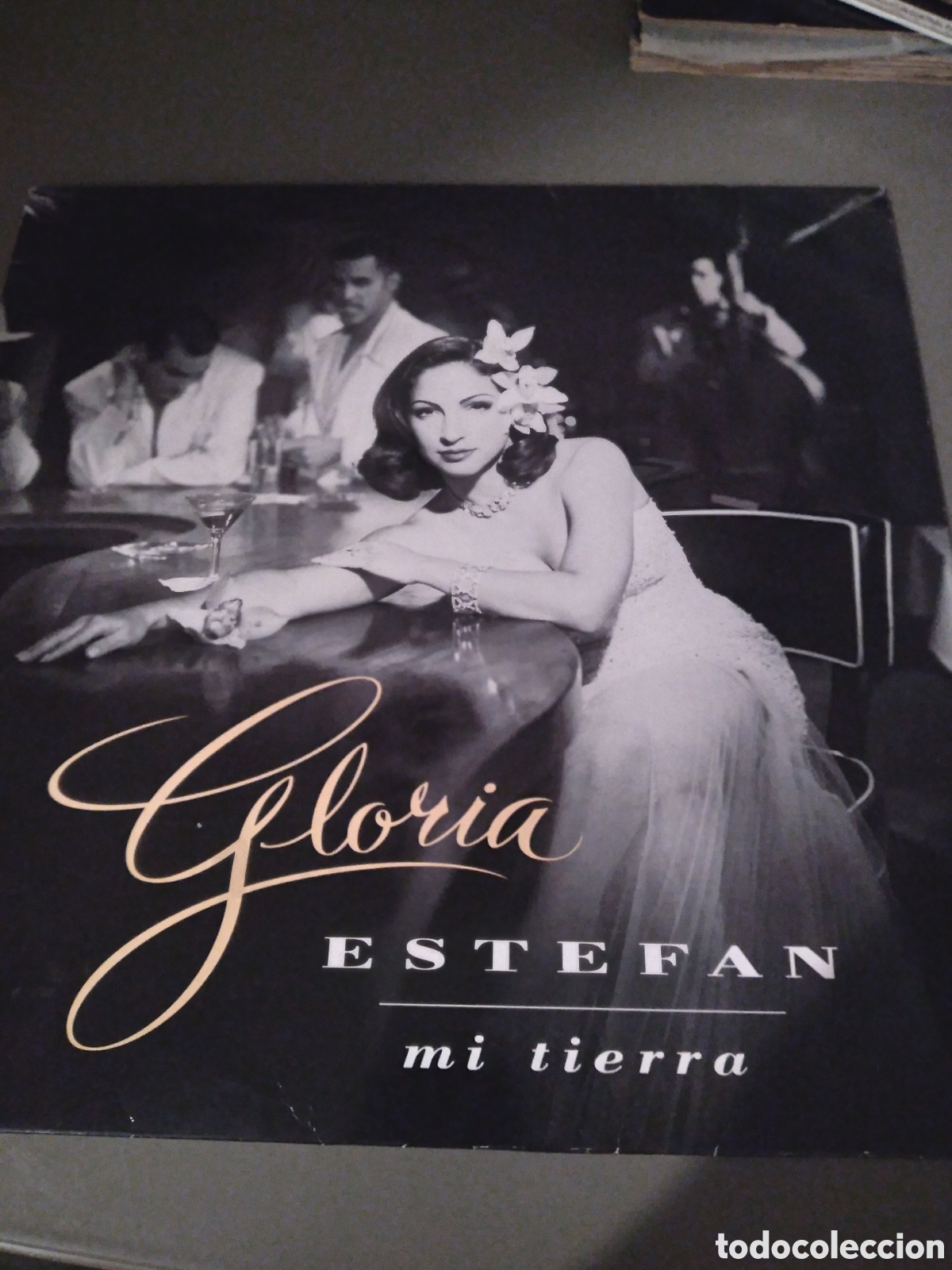 Gloria Estefan Mi Tierra