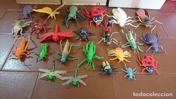 lote de 23 insectos gigantes de plástico y pvc - Comprar Otras Figuras ...