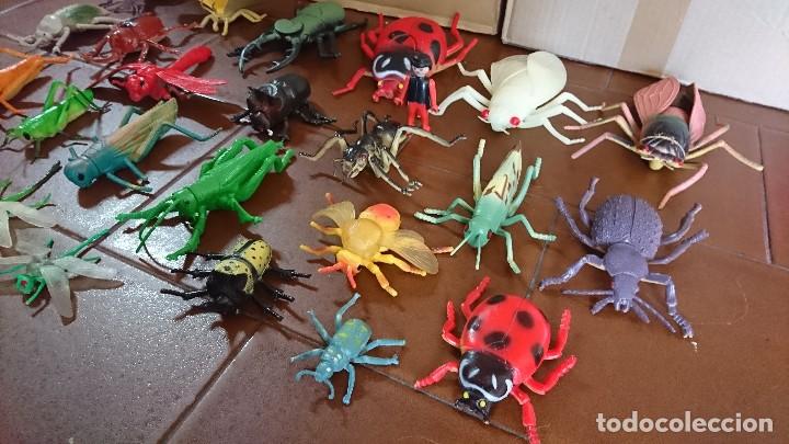 lote de 23 insectos gigantes de plástico y pvc - Comprar Otras Figuras ...