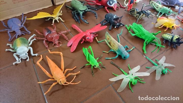 lote de 23 insectos gigantes de plástico y pvc - Comprar Otras Figuras ...