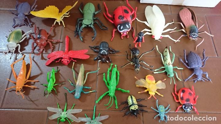 lote de 23 insectos gigantes de plástico y pvc - Comprar Otras Figuras ...