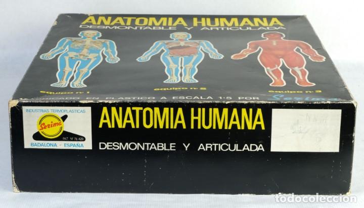Estaca Humana Canibalismo: O Que é, Casos Famosos, Origens Brasil