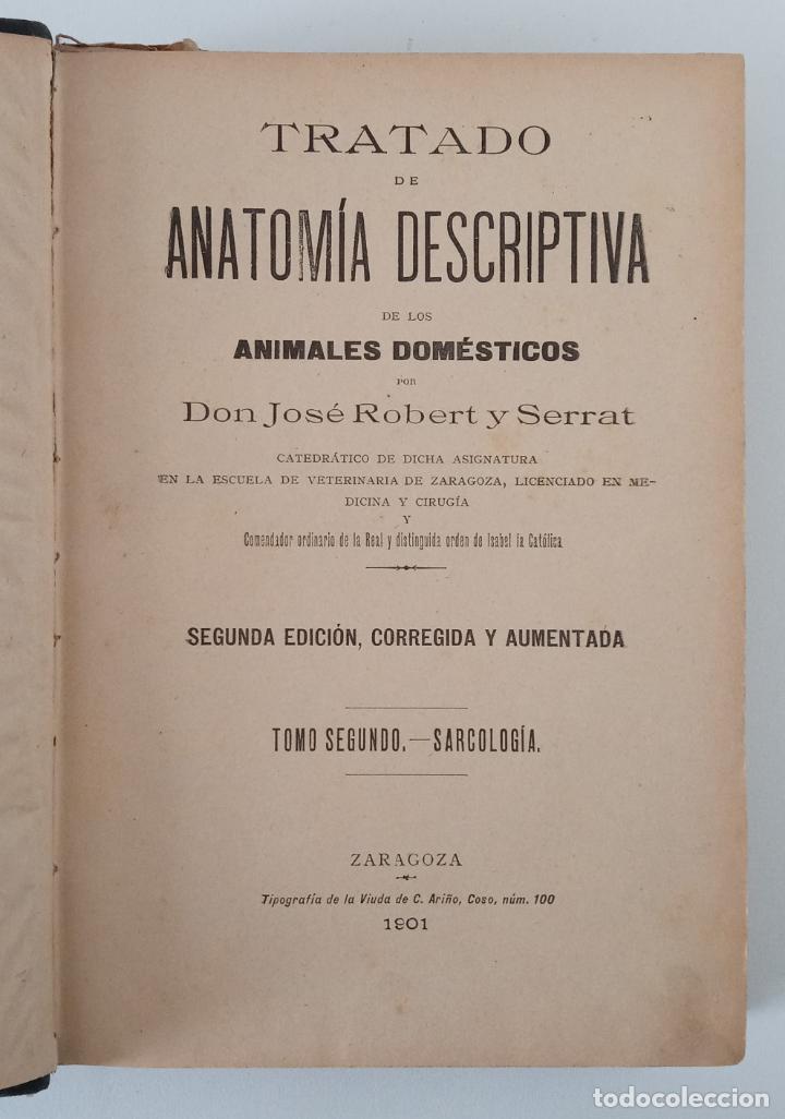 anatomía descriptiva de los animales domésticos - Comprar en ...